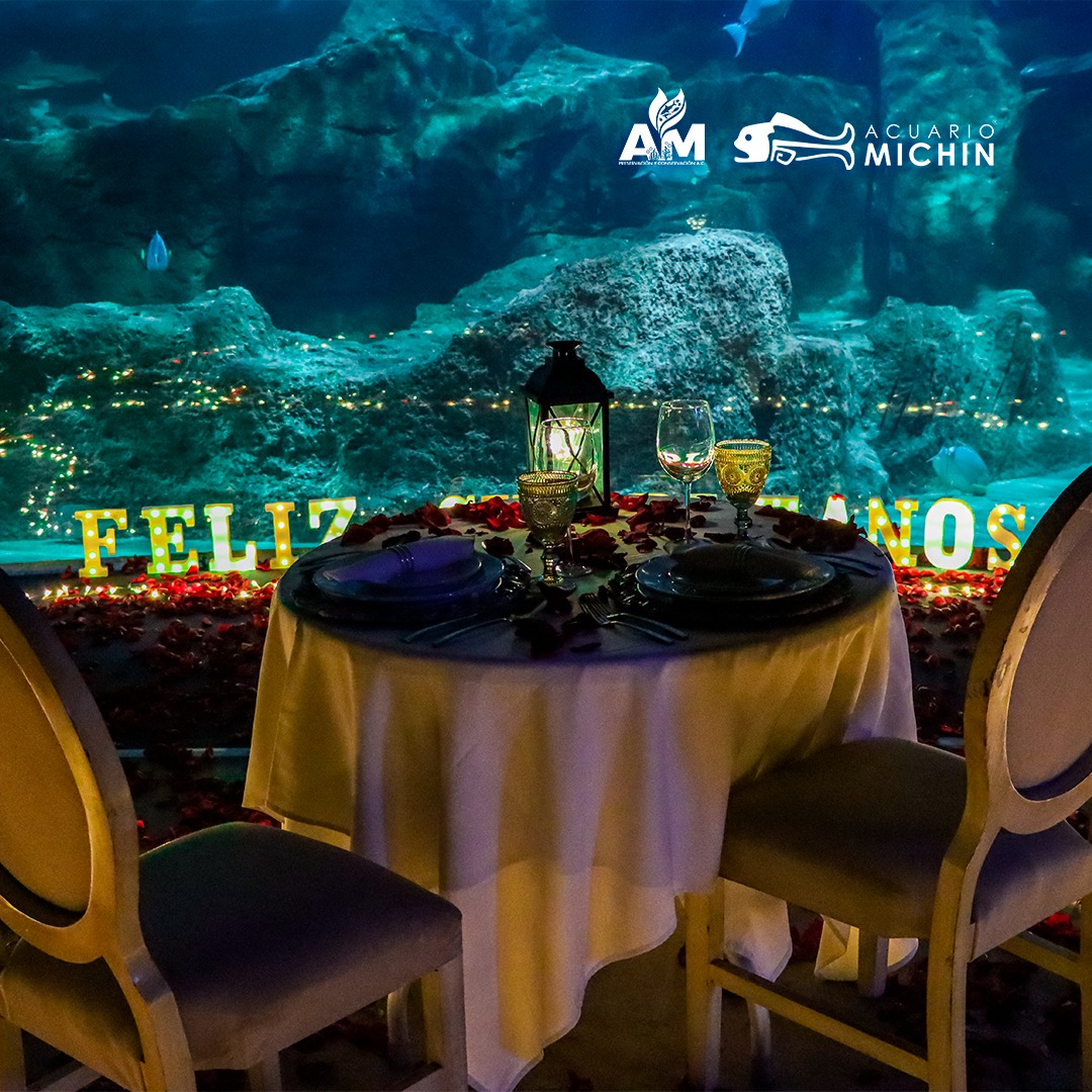 Cenas románticas Acuario Michin Guadalajara: ¿Cuál es el precio?