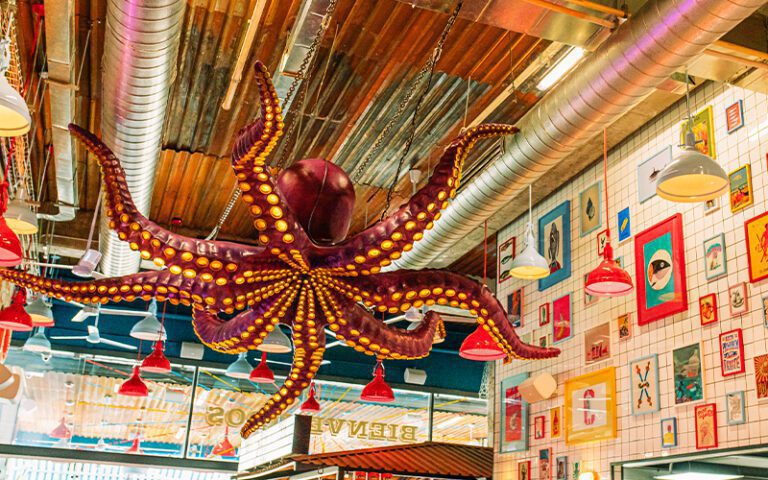 Tu nuevo restaurante favorito, El Cokin