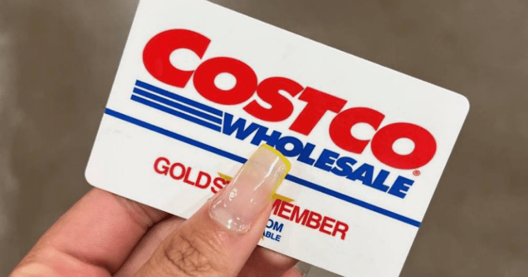 ¿Cómo va la construcción de Costco en Torreón?, así ha sido su paso por ...