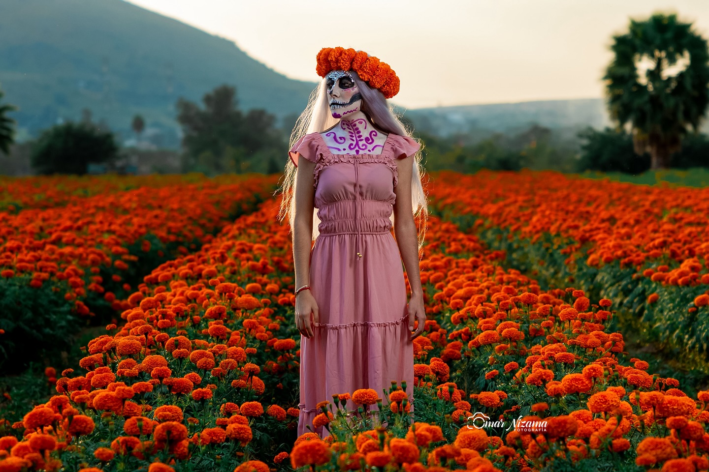 Dónde hay campos de cempasúchil en Guadalajara: Recorridos