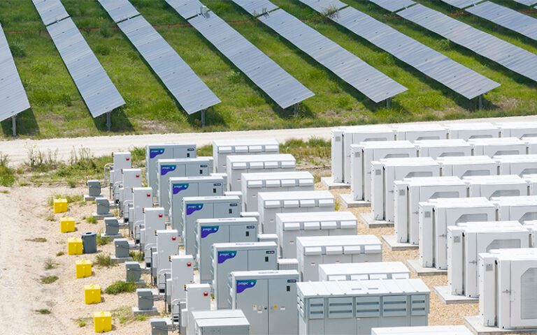 Xignux: generadora de valor sostenible - PLAYERS of Life