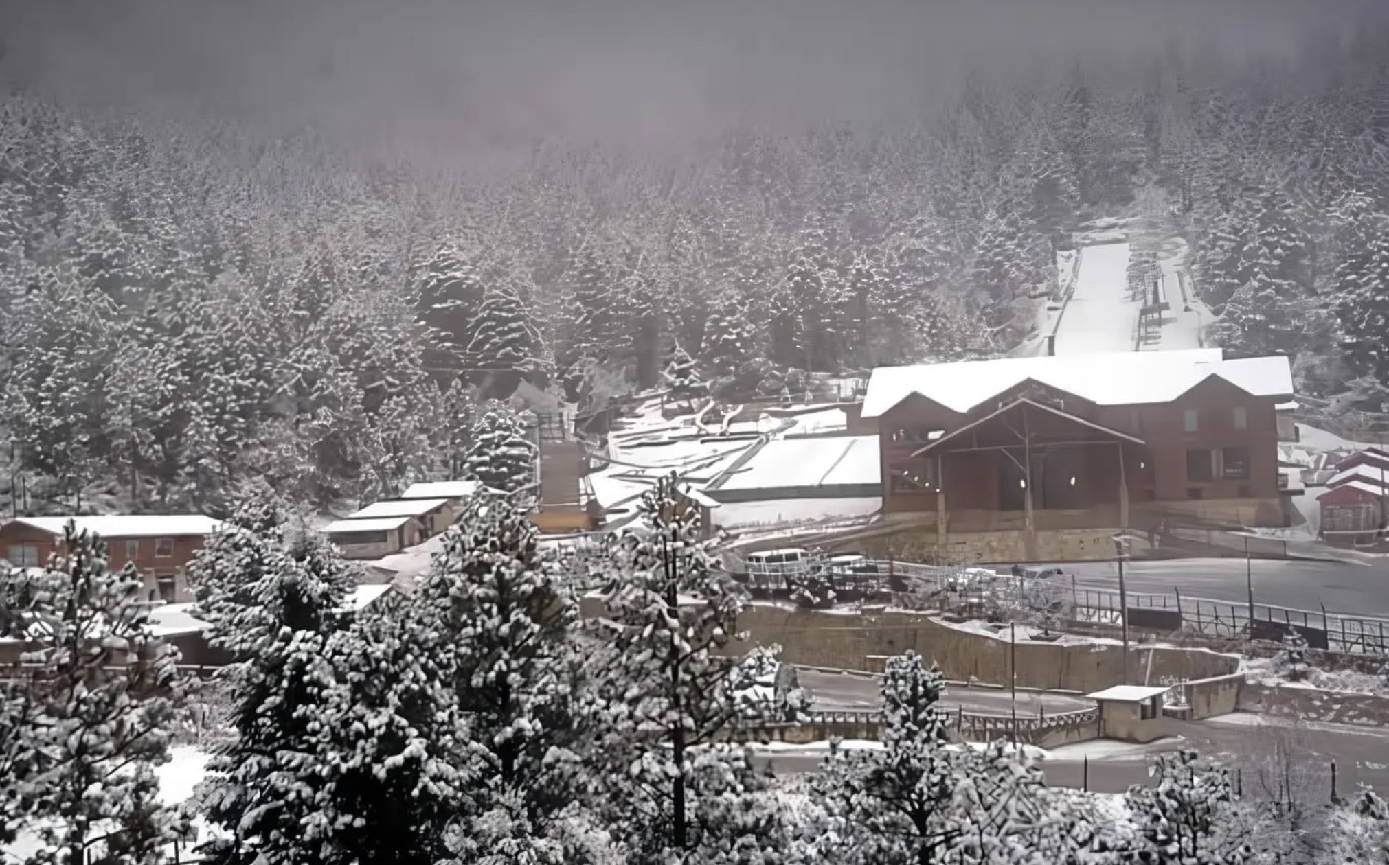 Viaja de Torreón a Bosques Monterreal: Cómo llegar fácil y rápido