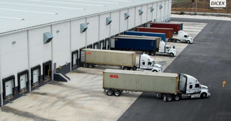 Dicex: conoce la historia de la empresa de logística