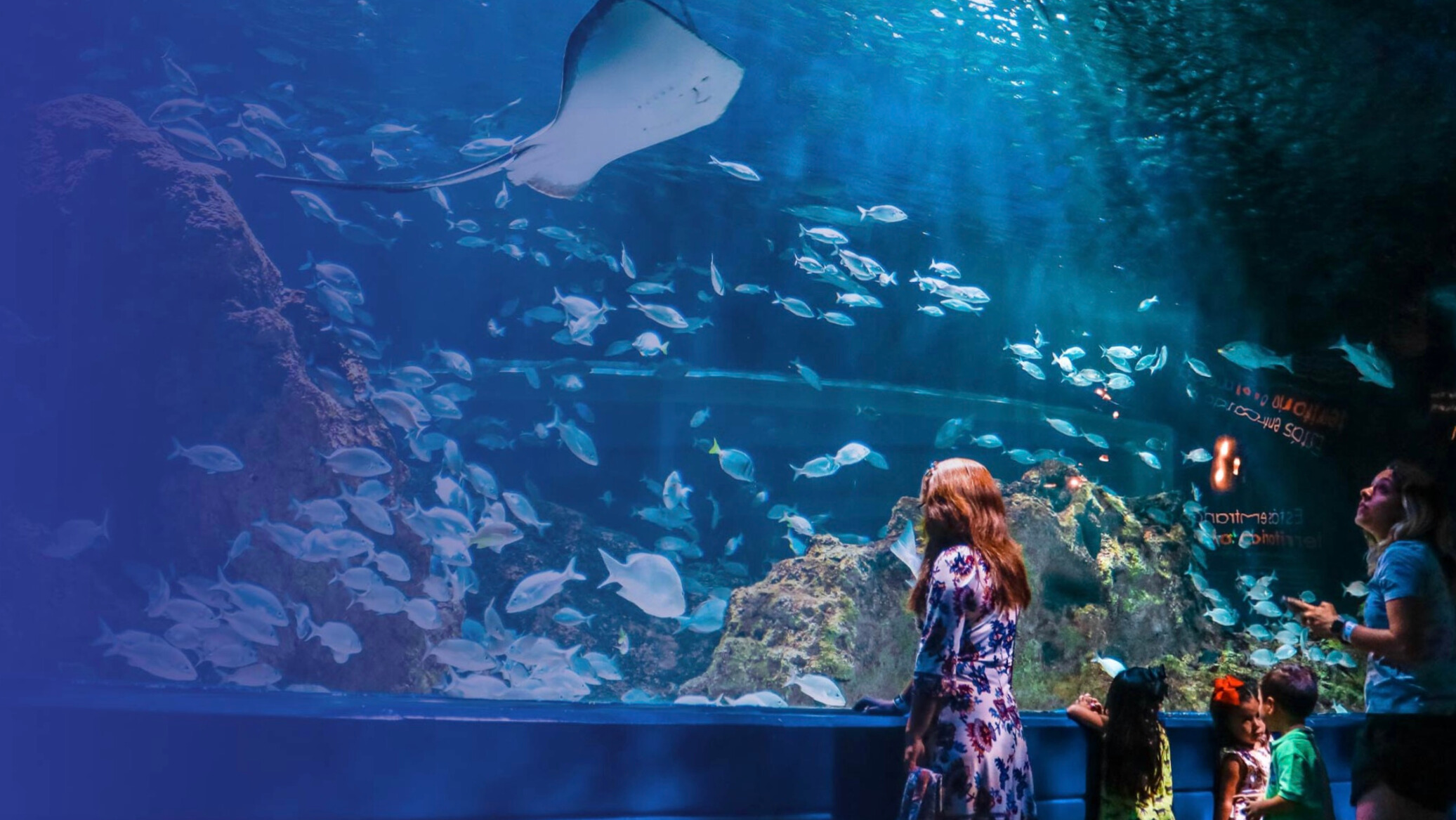 Acuario Michin Guadalajara lanza promociones para este verano 2025 ...