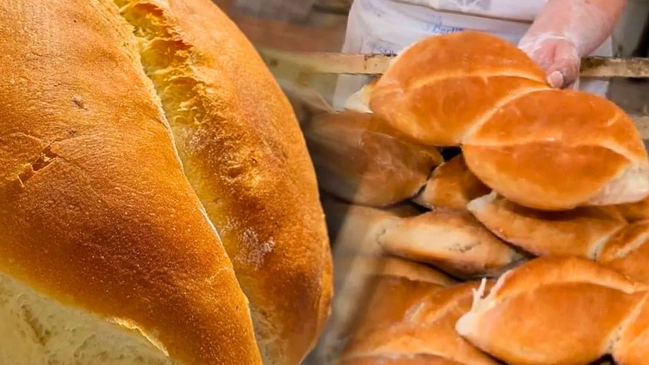 Torreón celebra el Día del Pan Francés 2025: ¿Cuándo y dónde será el ...