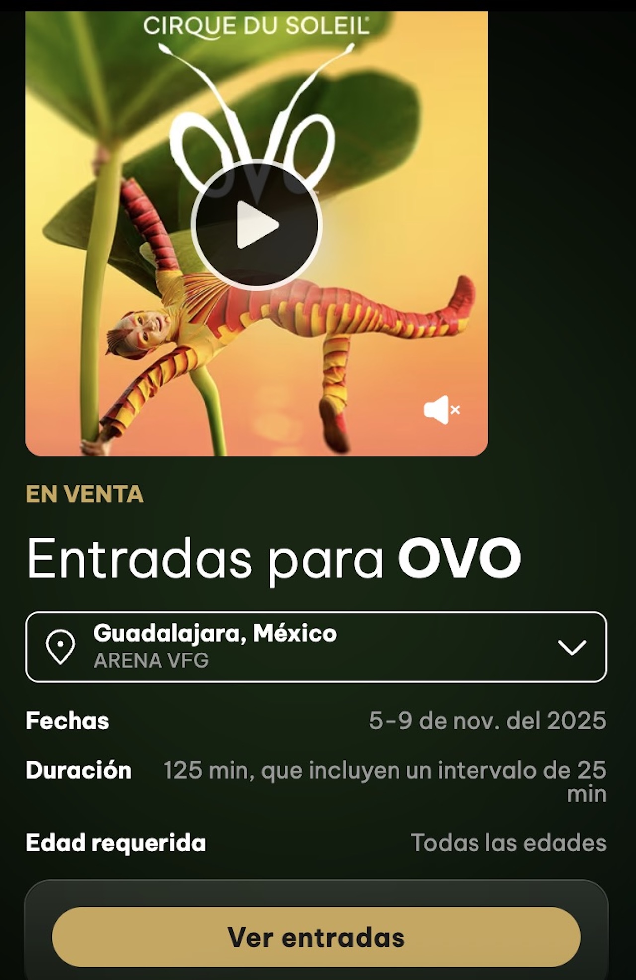 Cirque du Soleil en Guadalajara: ¿Aún hay boletos disponibles para OVO 2025? - PLAYERS