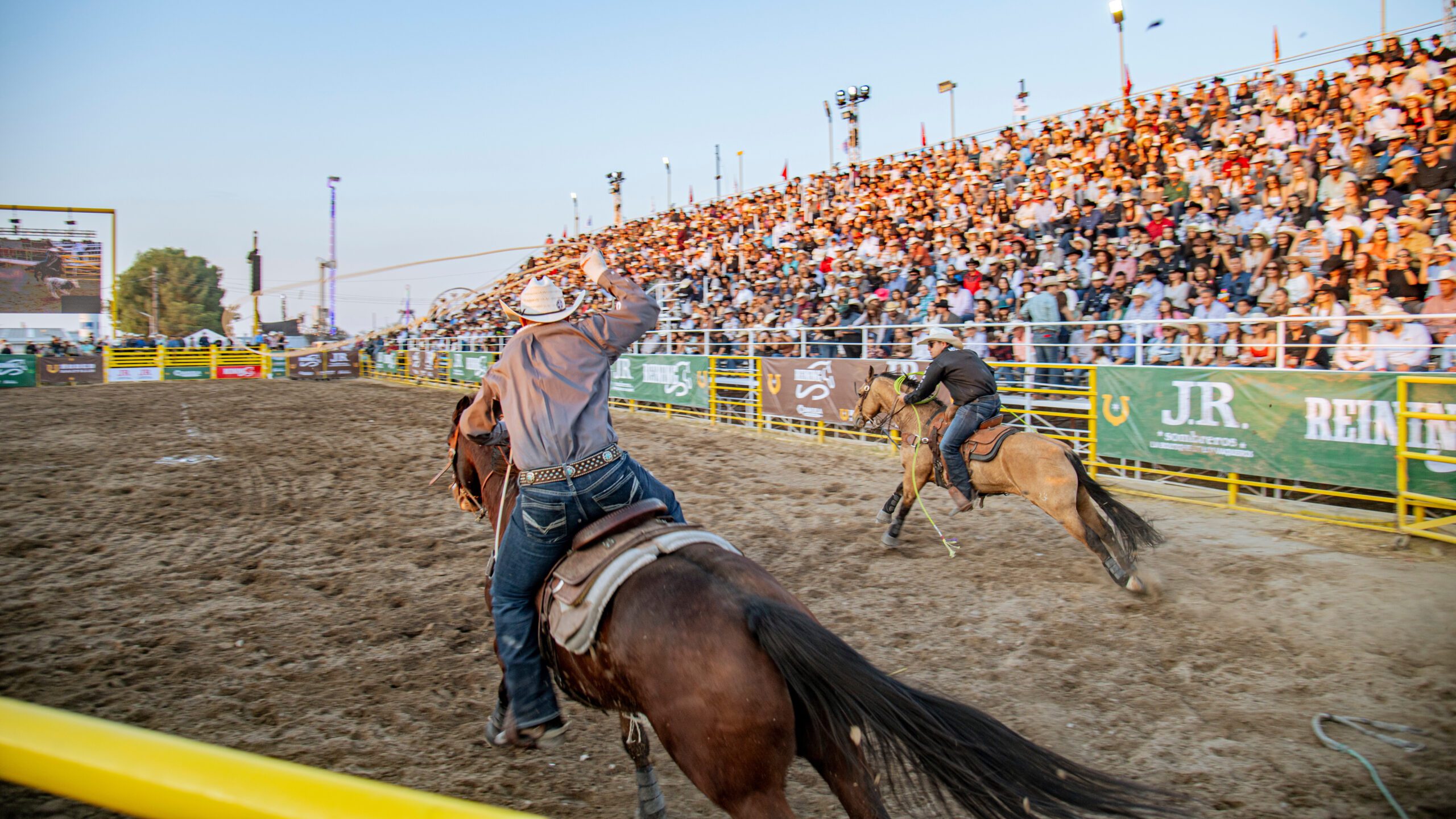 Bendito Rodeo